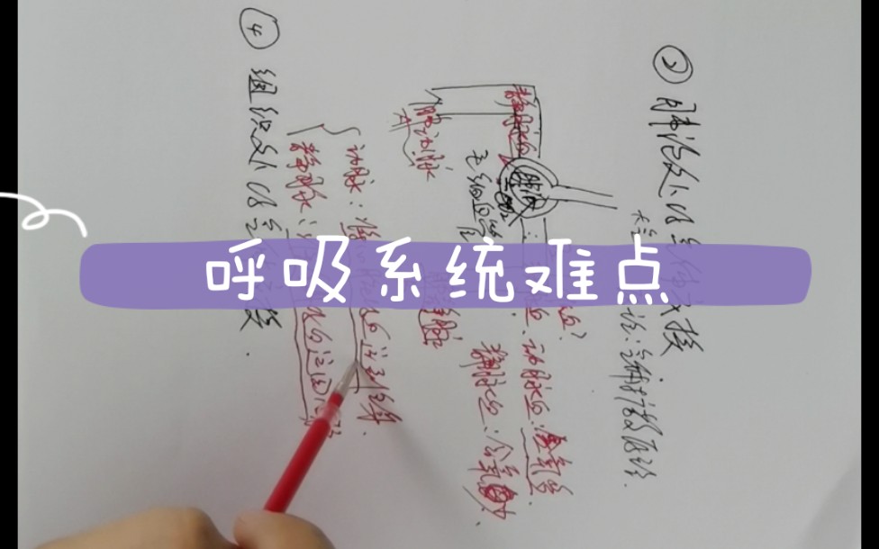 【初中生物学考】呼吸系统气体交换难点讲解