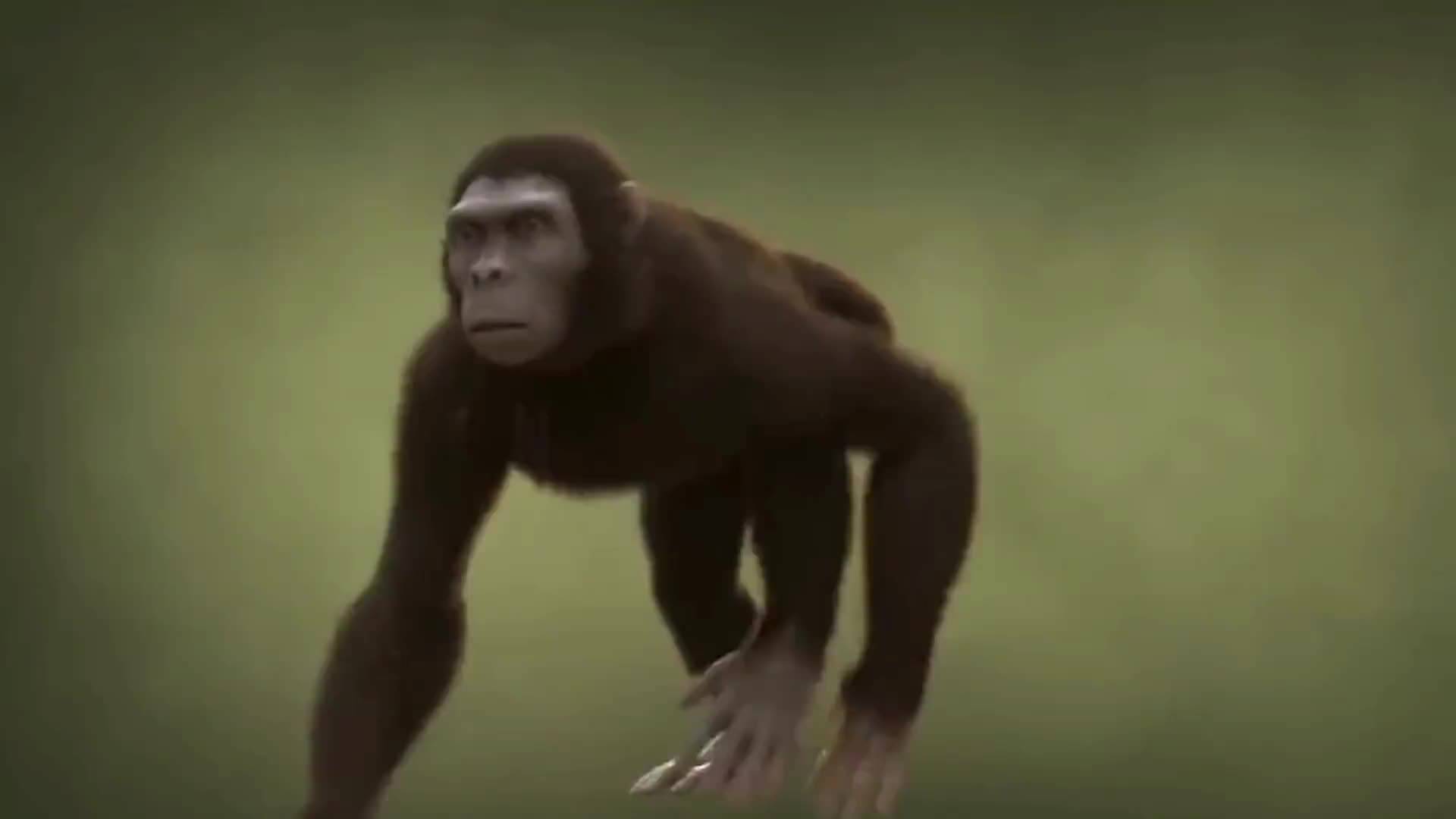 1分钟看懂人从哪里来?人类40亿年进化历程动画演示