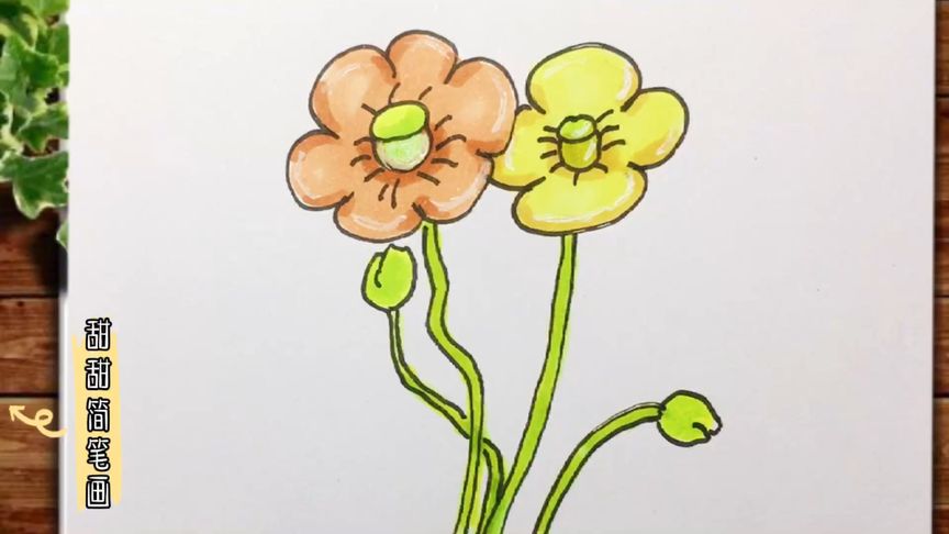 儿童简笔画基础教程,简单的小花,什你学会了么?