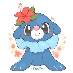 星海是只小海狮 