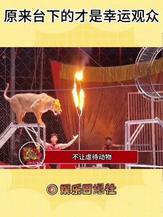拒绝动物表演 但人可以表演 #马戏团 #演出现场 #幸运观众