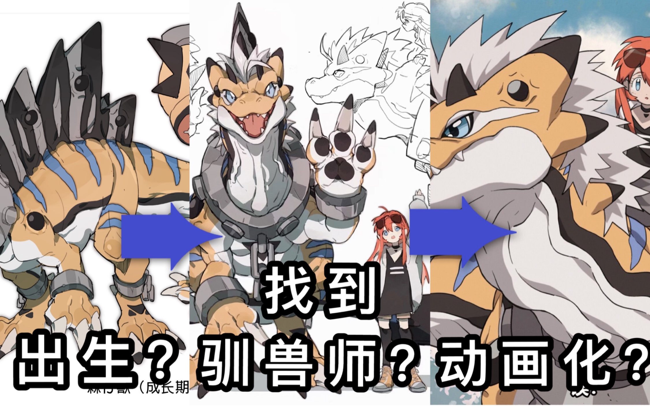 生一只数码兽!从出生到动画化?!