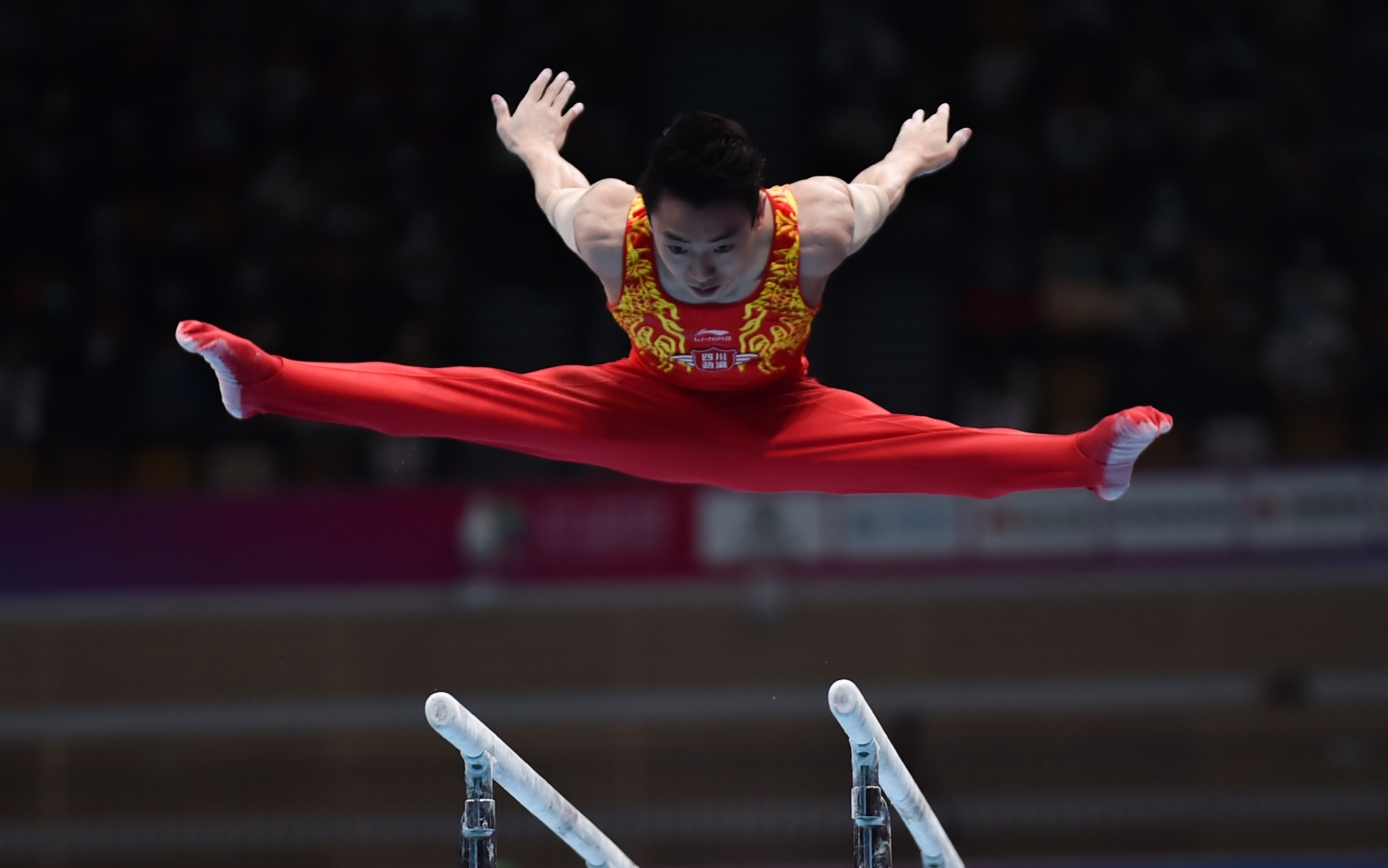 【邹敬园】2021全运会 双杠 单项决赛 观众席自录