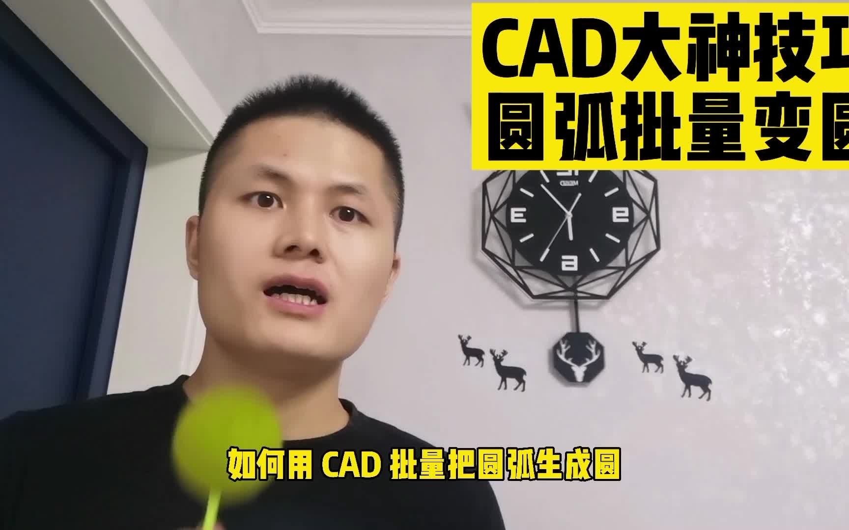 CAD大神技巧,教你用CAD把圆弧批量变成圆,对CAD编桩号很有帮助