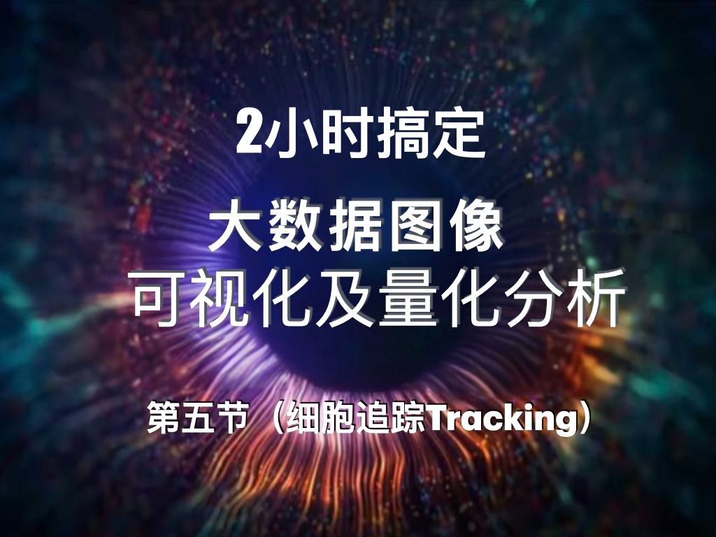 外国大佬(中英字幕)2小时带基础小白玩转图像分析软件,轻松摆脱编程...