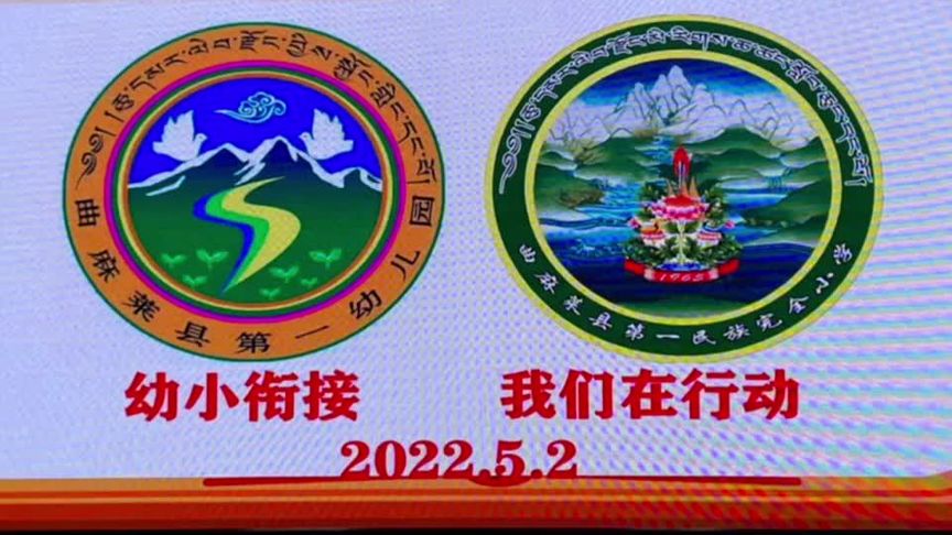 曲麻莱县第一幼儿园《幼小衔接 我们在行动》