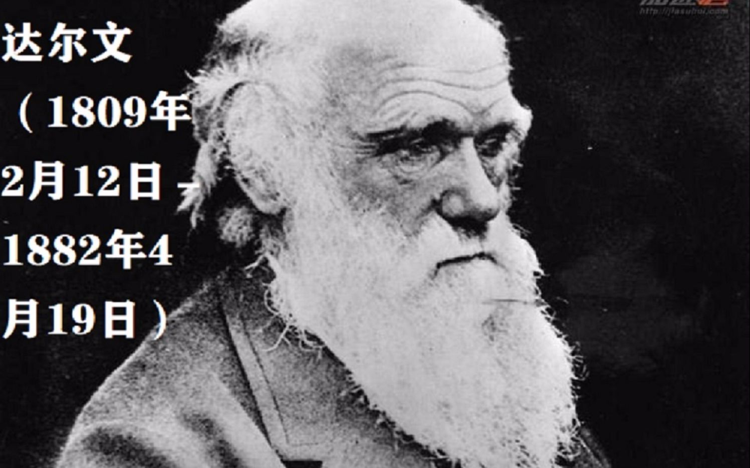初一生物课堂:生物体的结构层次(1)