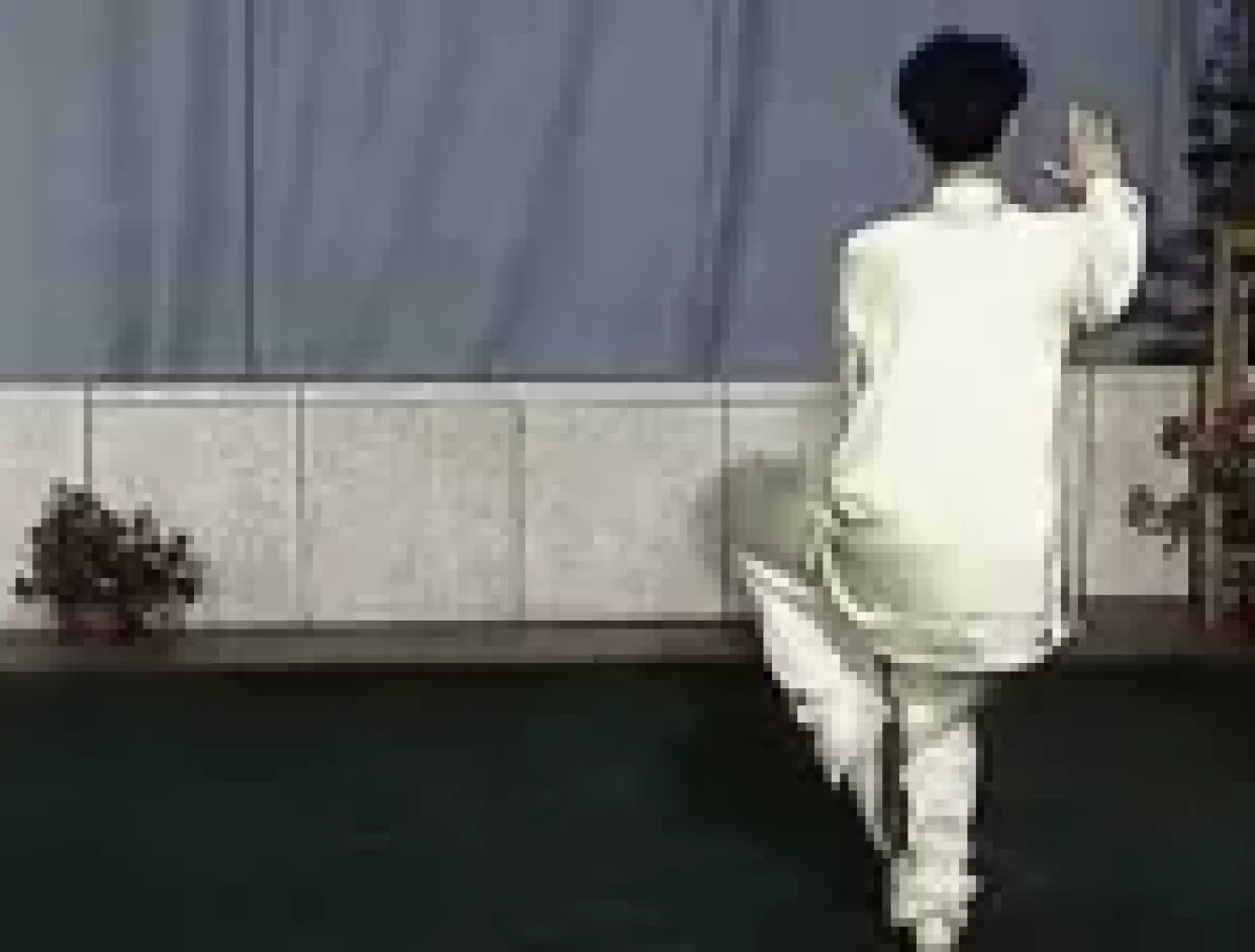 带口令88式太极拳 全套动作背练 口令李德印 示范陈思坦