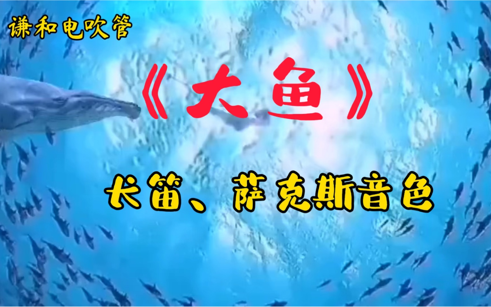 《大鱼》罗兰电吹管长笛、萨克斯音色