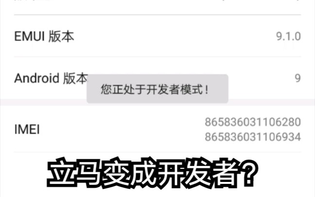【你所不知道的华为手机】华为手机还有开发者模式?开启后立马变...