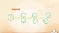 2.4.1细胞分化形成组织(北师大版)
