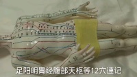 足阳明胃经穴位天枢、气冲位置及作用池继唐中医培训
