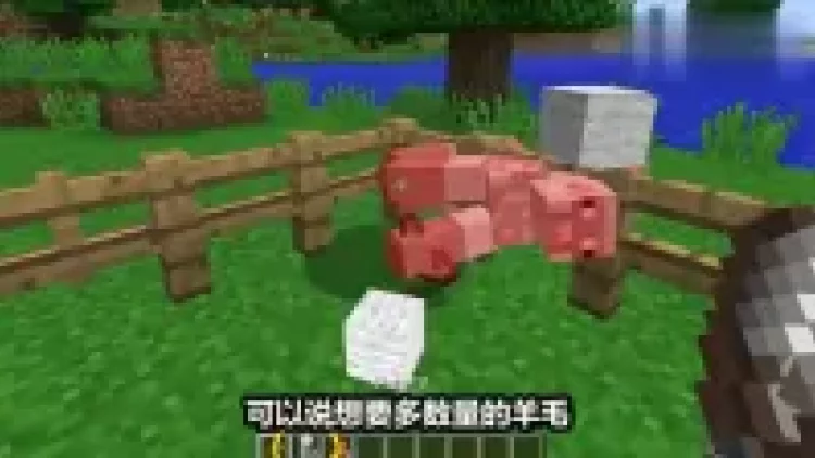 我的世界:这样做才能获得最多的羊毛!