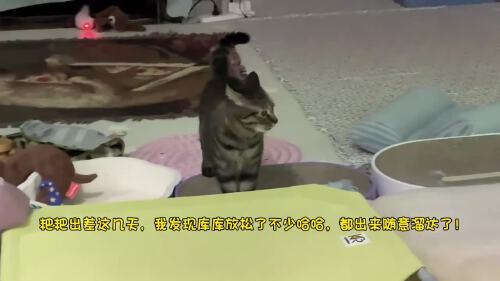 粑粑回家倒计时5分钟!看萌娃如何制造惊喜与混乱