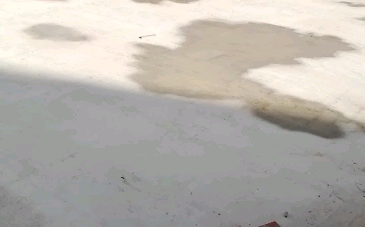 一、房屋建筑工程-园林绿化工程/游泳池-侧壁钢筋模板