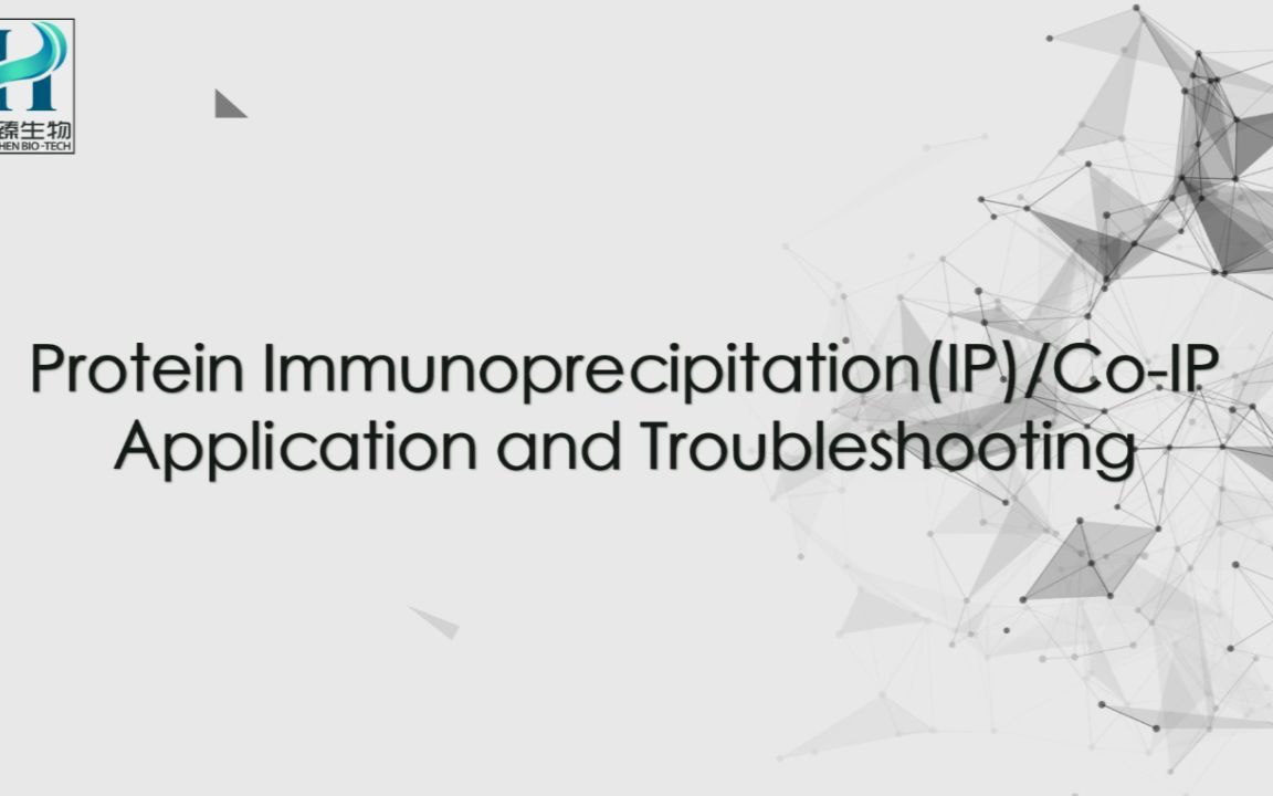 蛋白免疫沉淀(IP)/CO-IP的应用及技术难点解答