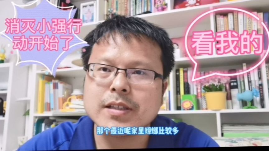 家里蟑螂比较多,教您怎么使用蟑螂屋