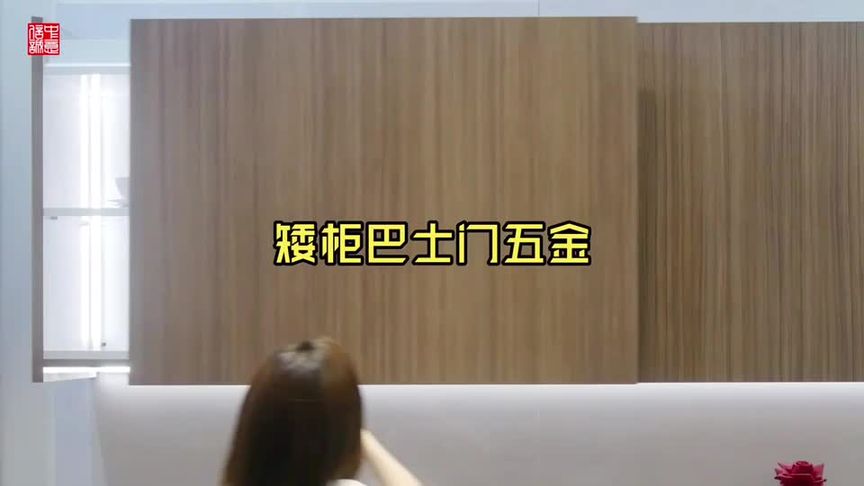 #进口五金 #巴士门五金 #巴士门衣柜 #巴士门滑轨 #巴士门