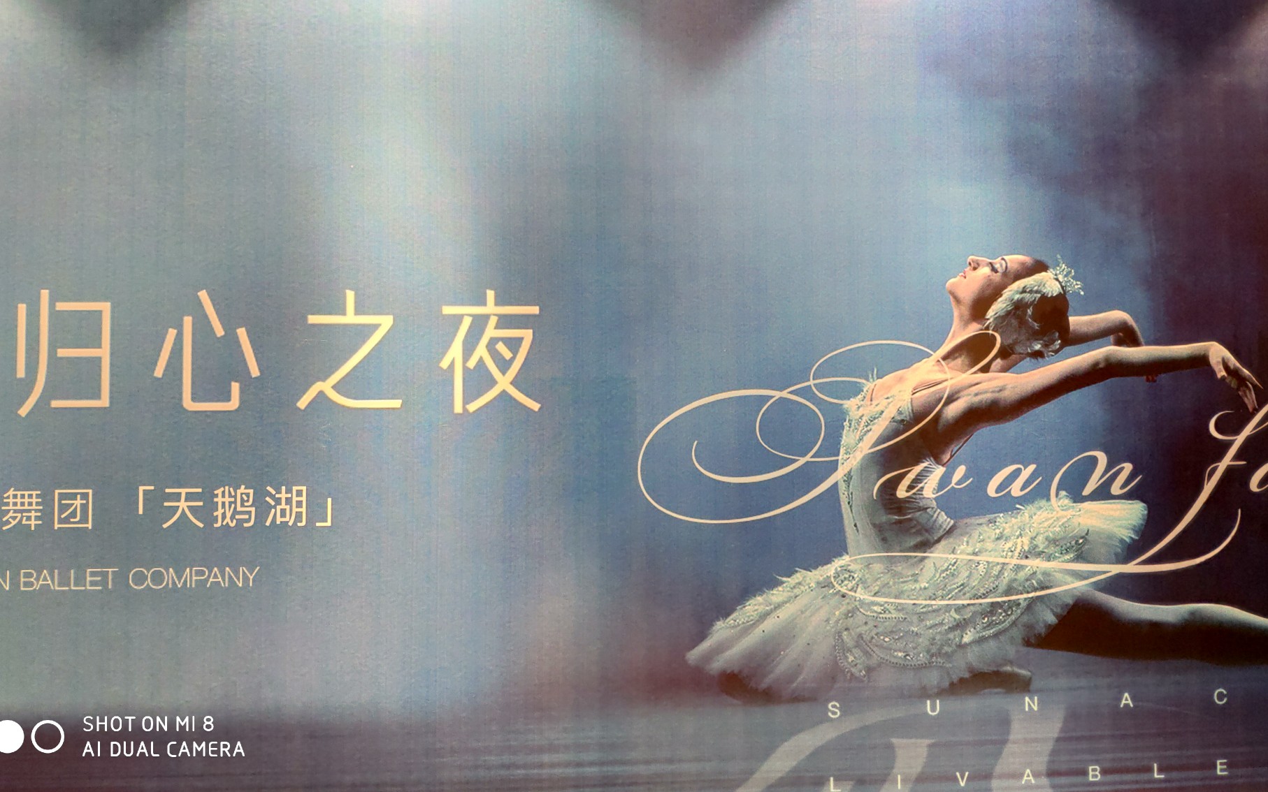 观看 俄罗斯皇家芭蕾舞团 表演 《天鹅湖》