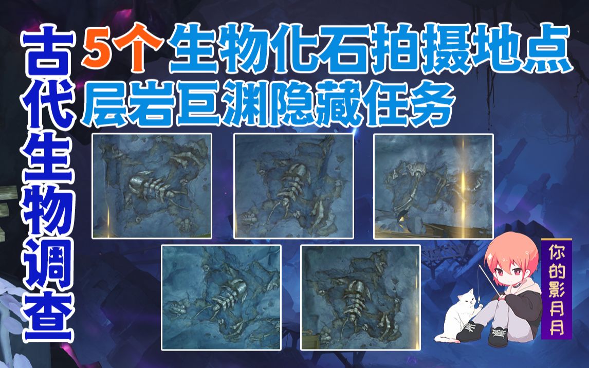 ...生物调查/5个生物化石位置/海迪夫/层岩巨渊隐藏任务/璃月世界任务