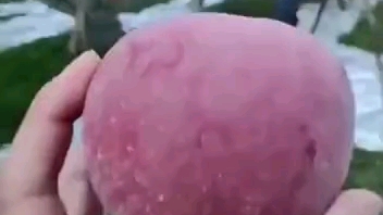 阿克苏冰糖心苹果好吃的秘籍来自于新疆独特的地理位置和气候环境!...