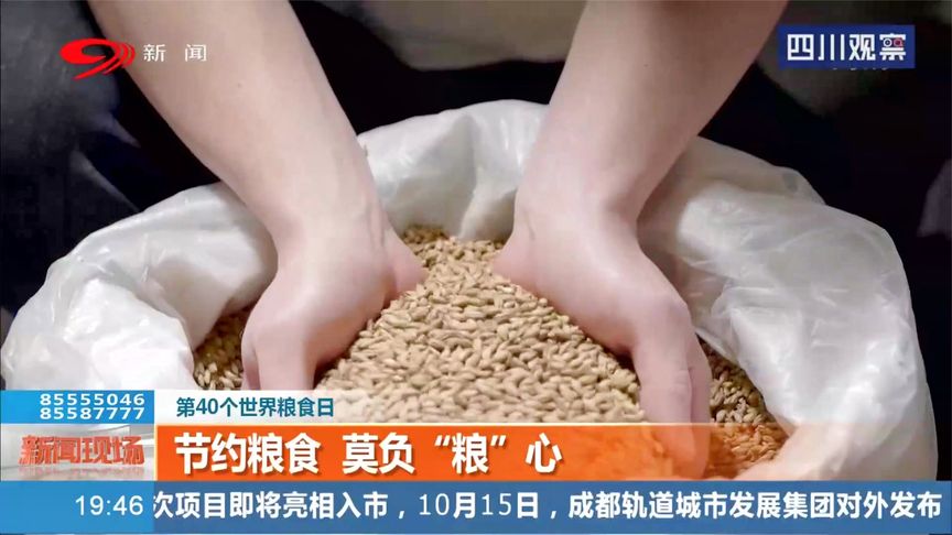 第40个世界粮食日:节约粮食从你我做起,莫负“粮”心!