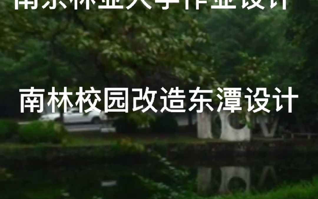 【园林景观】【风景园林】园林考研 南京林业大学校园改造东潭