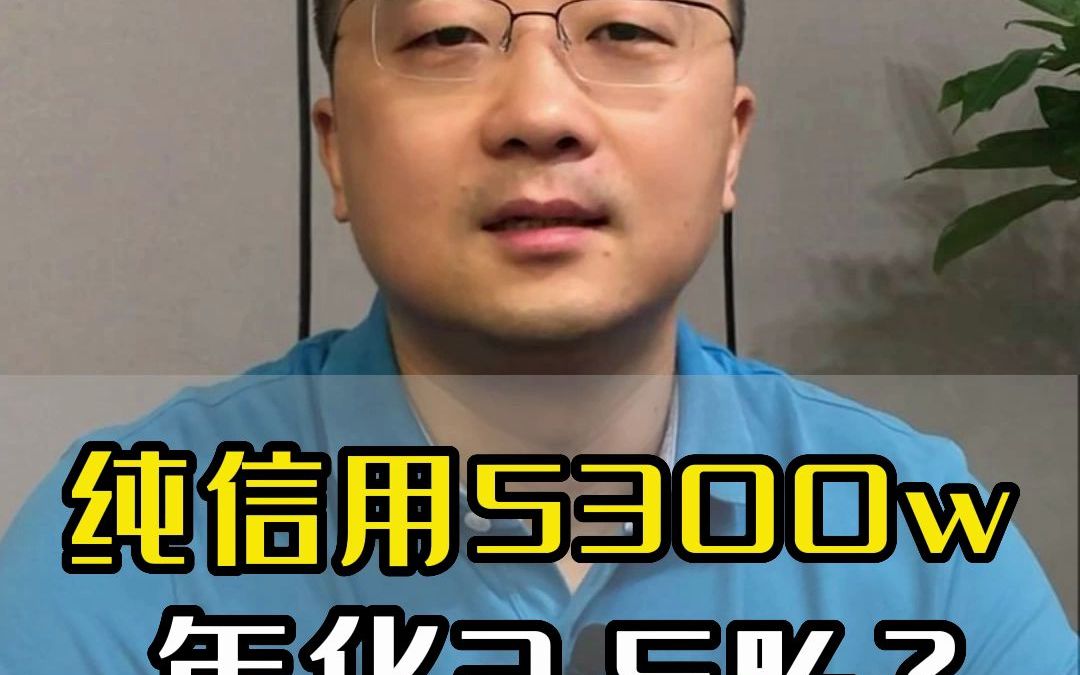 纯信用5300w,利率3.5%