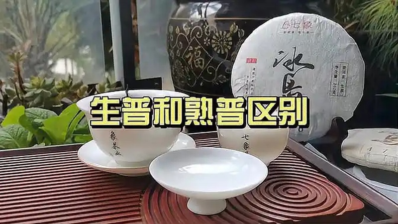 普洱茶生普和熟普区别