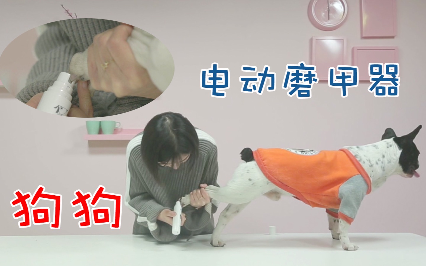 [好物测评]电动磨甲器竟然是这样用的?能让狗子如此听话的只有它了!