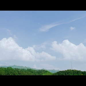 章鱼章鱼我是芒果