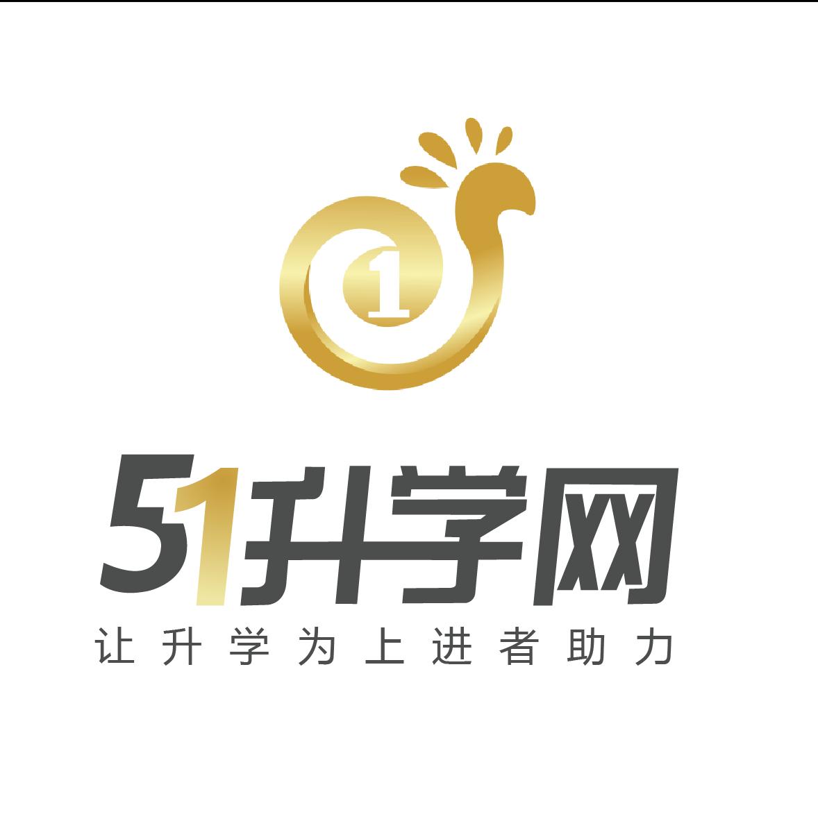 51升学网 