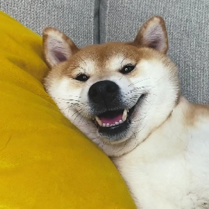 有多渴望就有多努力 