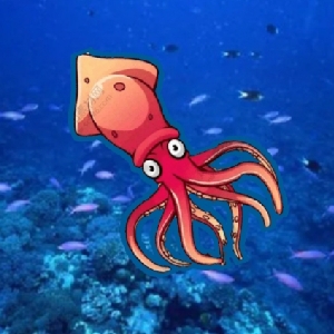 不喜欢青椒的鱿鱼 