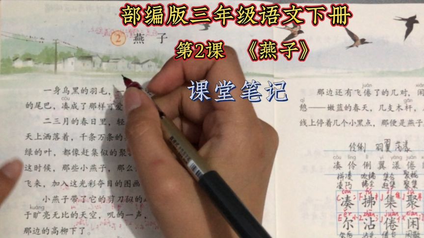 部编版三年级语文下册第2课《燕子》课堂笔记