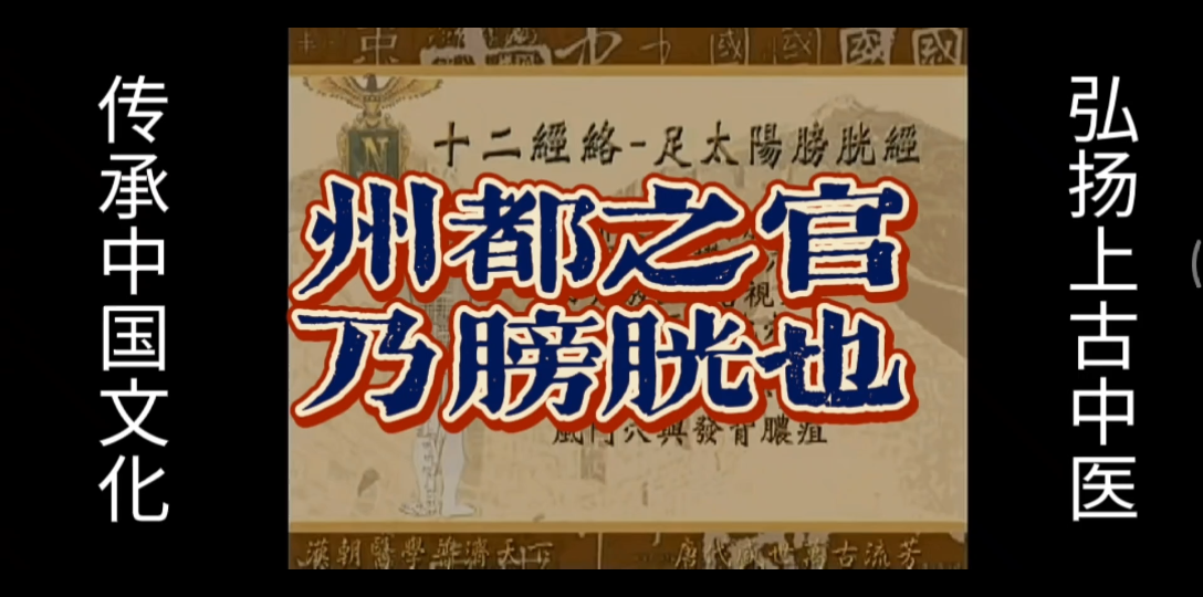 倪海厦《人纪》针灸之足太阳膀胱经:州都之官乃膀胱也