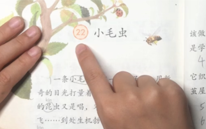 二年级下-22-《小毛虫》 课文作者-达芬奇 课文朗读