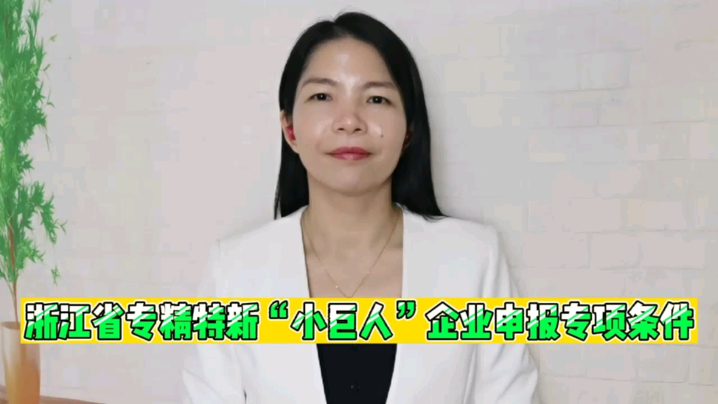 浙江省专精特新“小巨人”企业申报专项条件