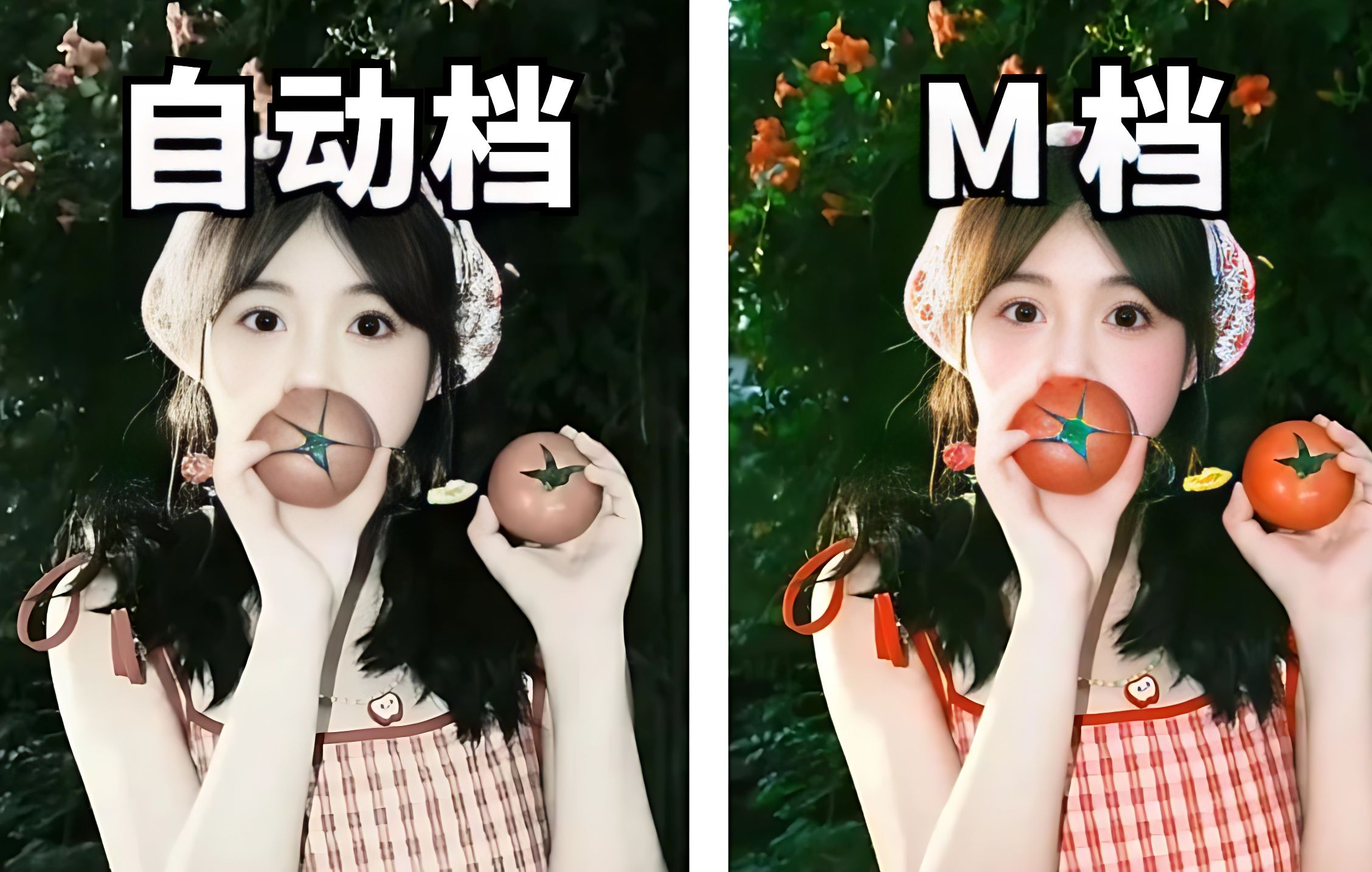 【摄影入门基础教程】相机拍的没手机好?是谁还不会用相机M档!简单...