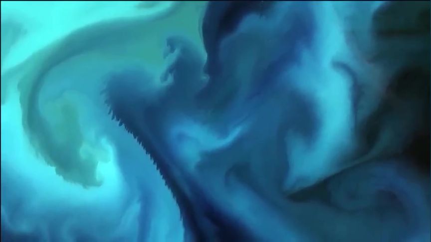 地球的氧气都是森林制造的吗?这个小东西发挥的作用可不小