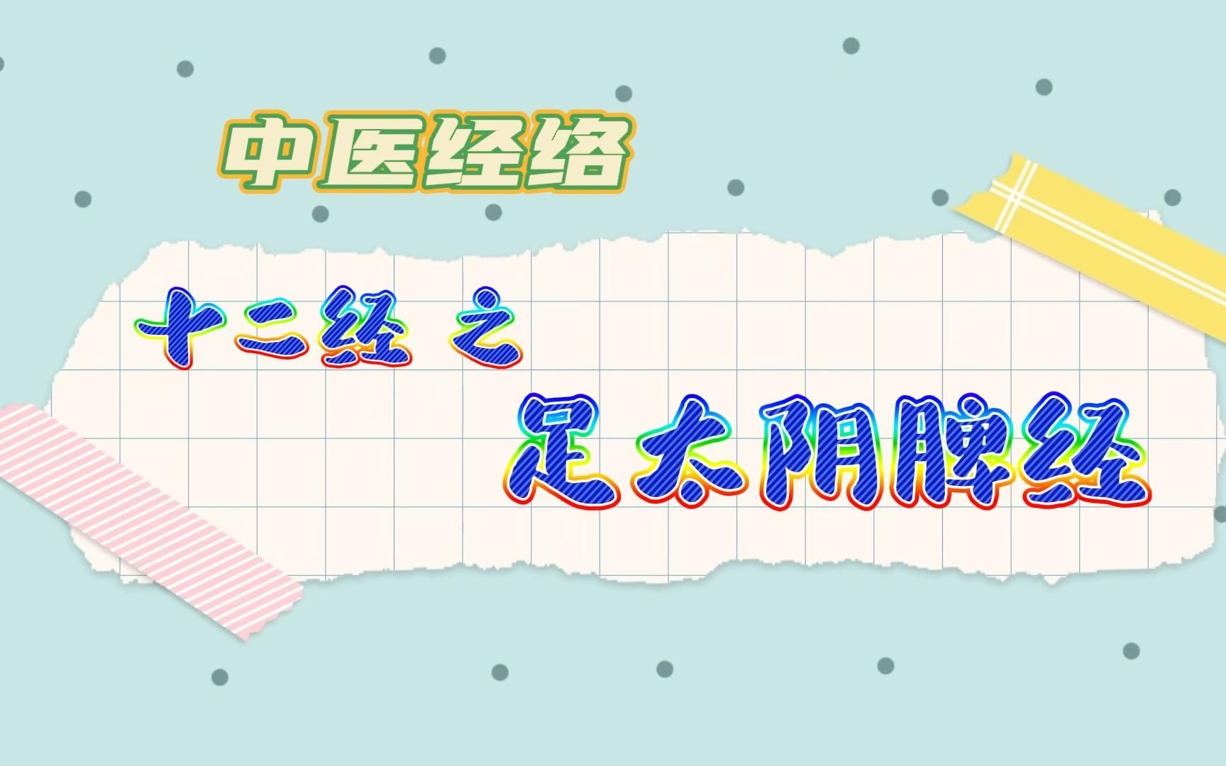 中医经络 十二经 之 足太阴脾经