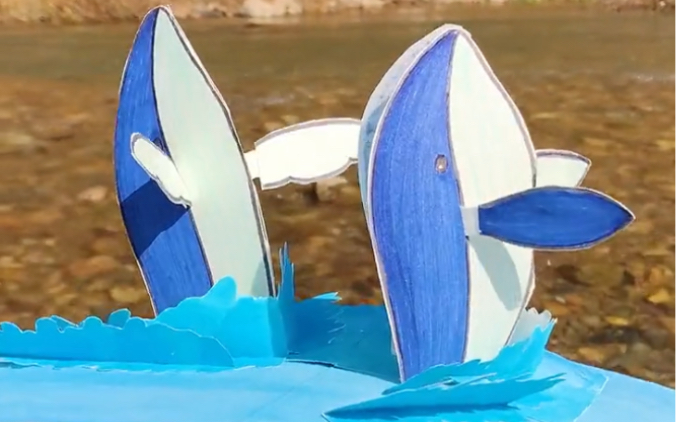 海洋世界立体书教程(四)