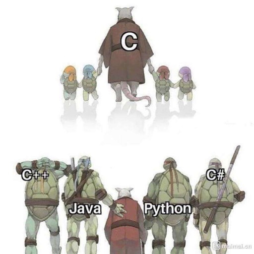 毛毛and西西 
