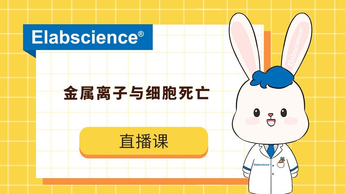 Elabscience_直播回放 | 金属离子与细胞死亡