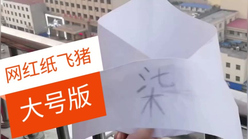 孩子们玩 网红飞猪 上瘾 居然制作大号版的 一起来看效果