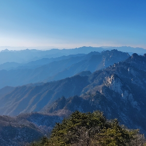 笨死了吗嗯嗯 