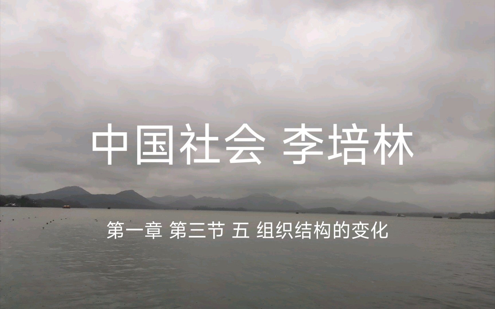中国社会 李培林 第一章 第三节 五 组织结构的变化