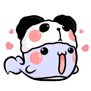 云南专升本鲸妮妮 