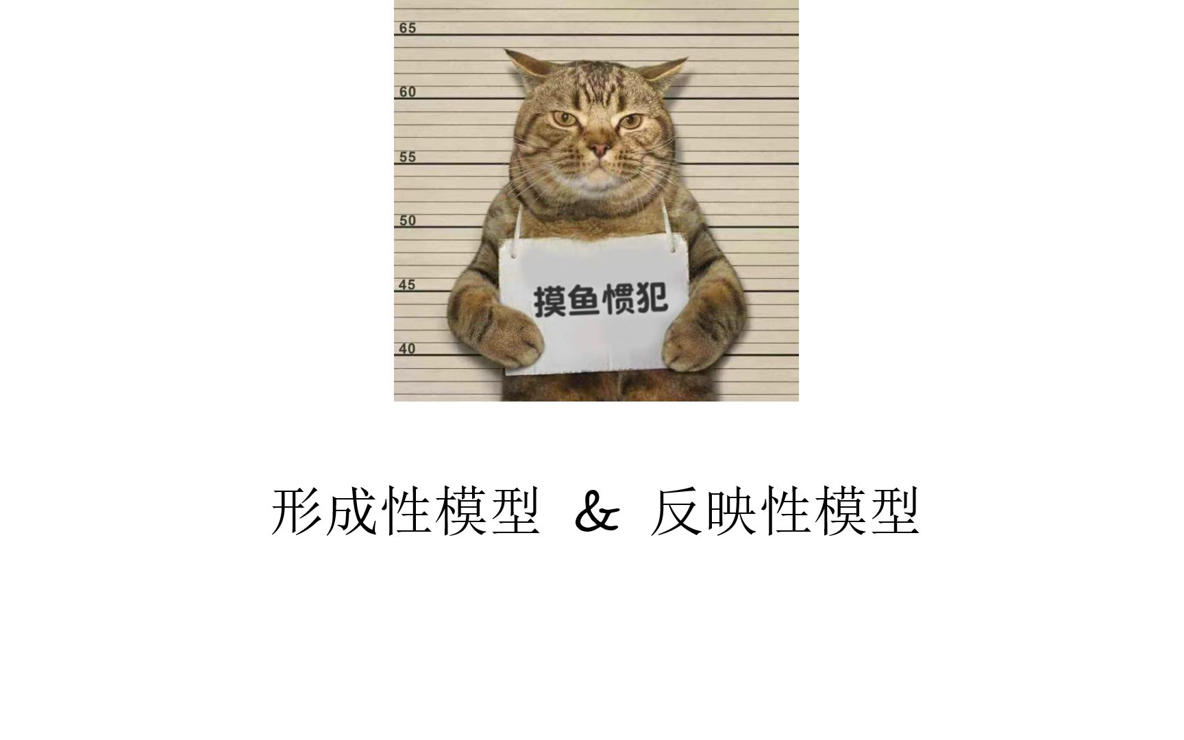 形成性测量模型&反映性测量模型_结构方程模型SEM