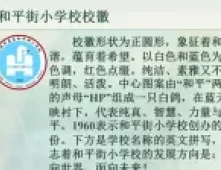 微课《设计我们的班徽-行动指导》